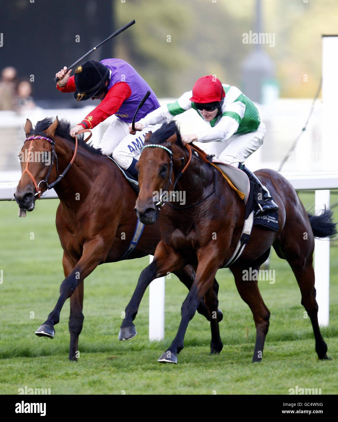 Corporal Maddox (right) ridden by Tom Queally goes on to win the ...