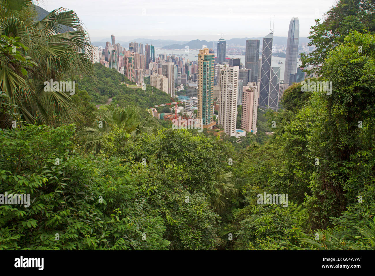 View over Hong Kong from the slopes of Victoria Peak Stock Photo - Alamy