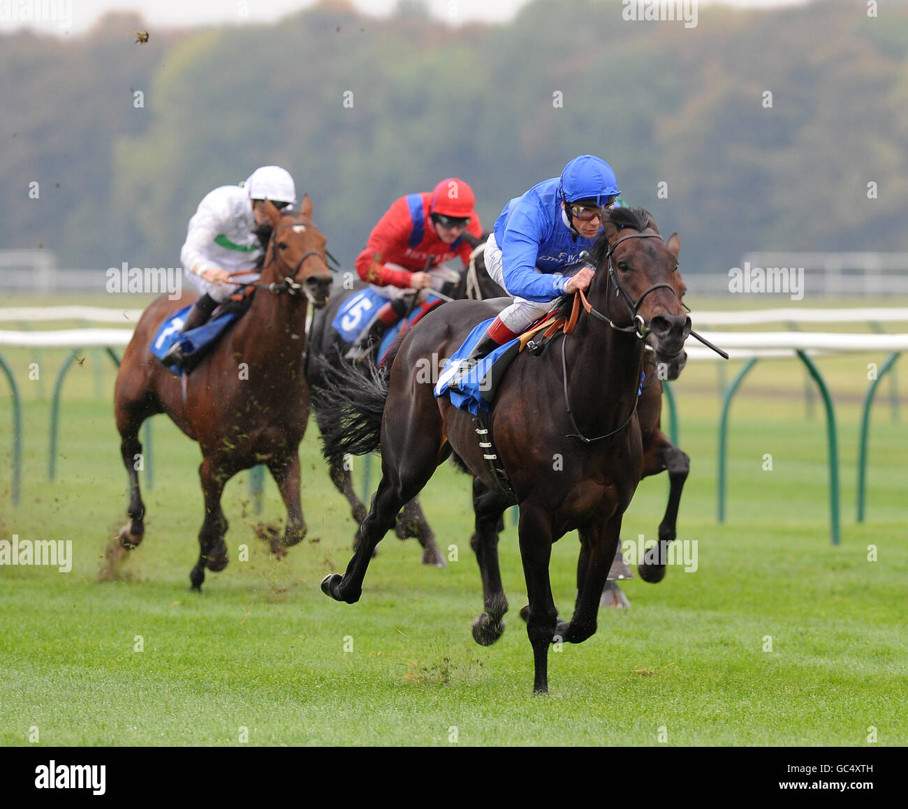 Horse racing races hli wip frankie hi-res stock photography and images ...