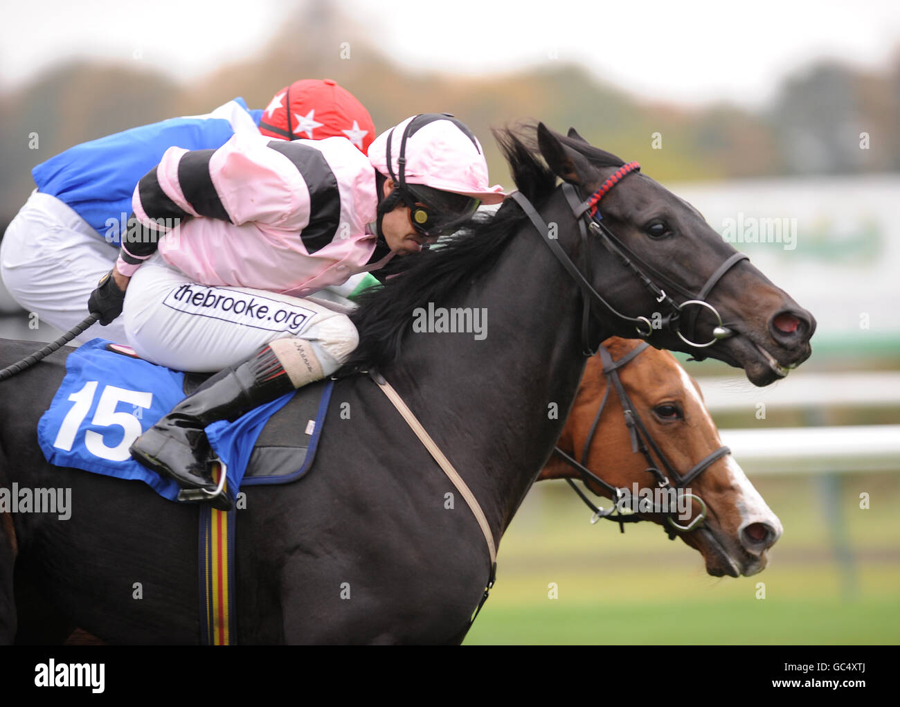 Horse Racing Autumn Construction Day Nottingham Racecourse High ...