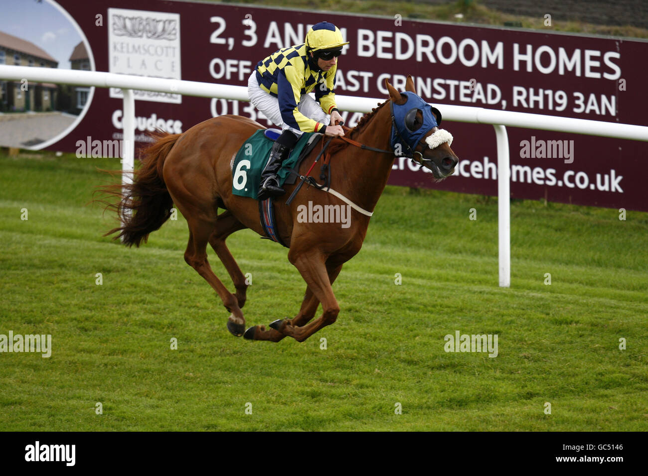 Horse Racing - Lingfield Park Racecourse Stock Photo - Alamy
