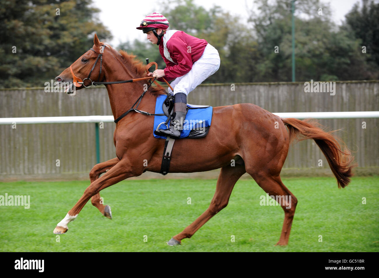 Ross atkinson jockey hi-res stock photography and images - Alamy