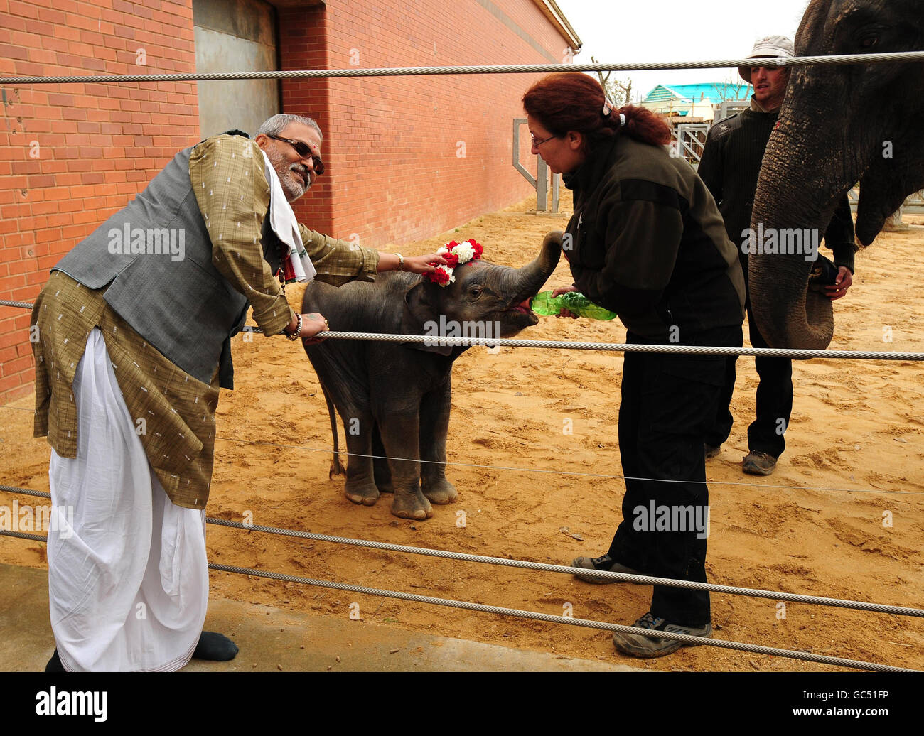 Artificial elephant hi-res stock photography and images - Alamy