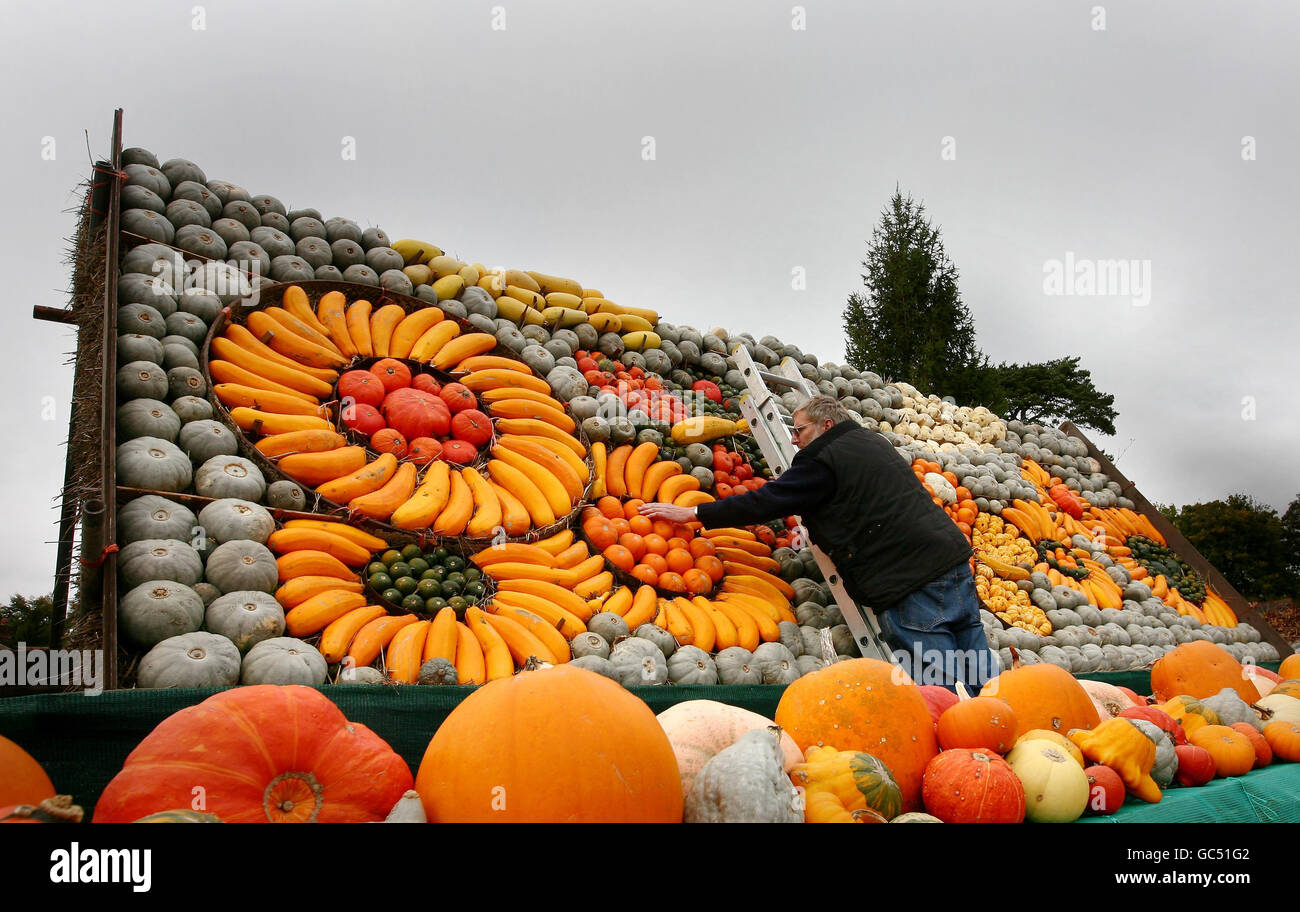 Slindon pumpkins hi-res stock photography and images - Alamy