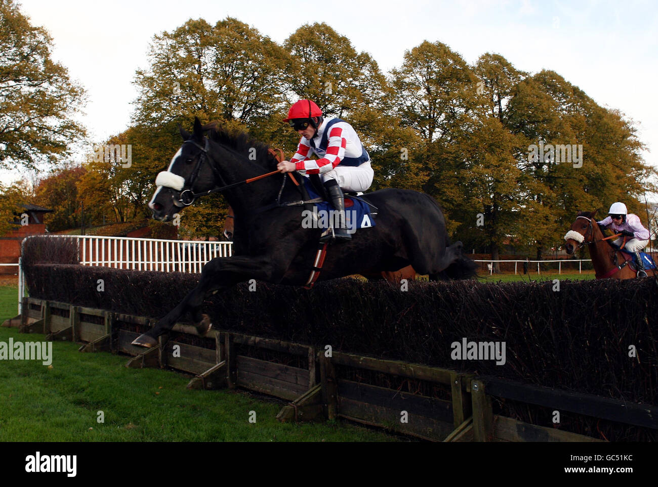 Fred rimell hi-res stock photography and images - Alamy