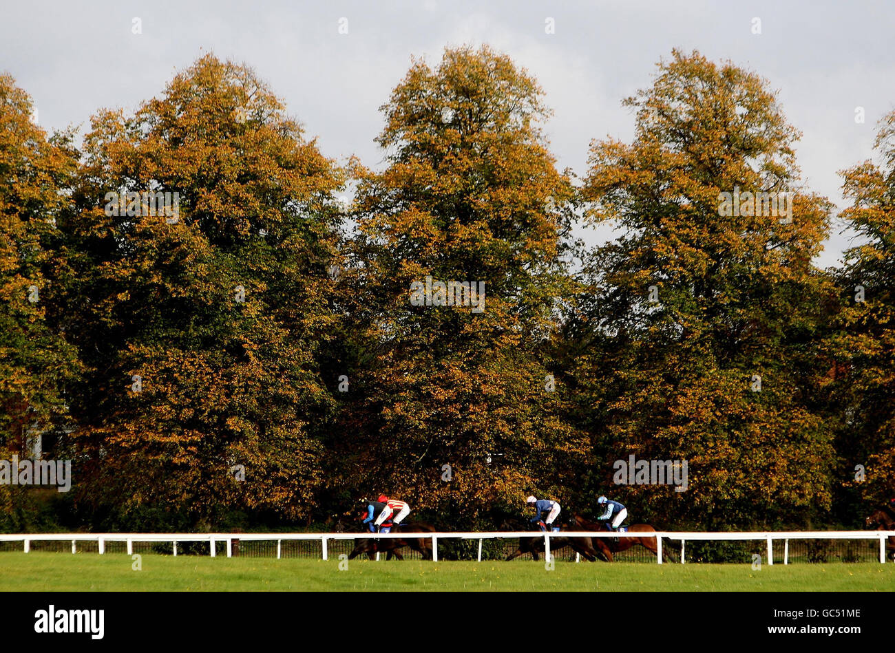 Horse Racing - Worcester Racecourse Stock Photo - Alamy