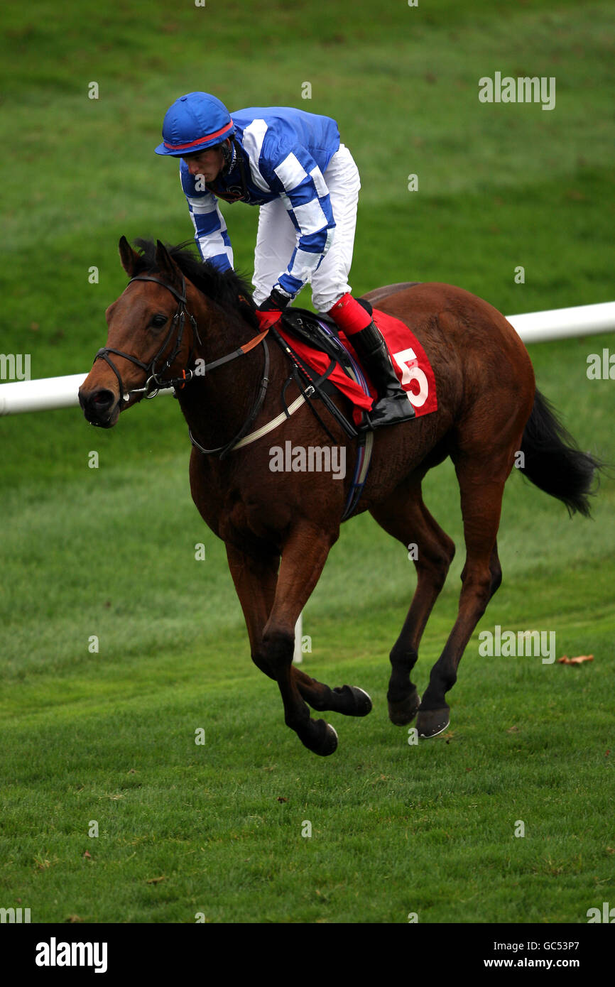 Horse Racing - The Racing Post Trophy - Day One - Doncaster Racecourse ...