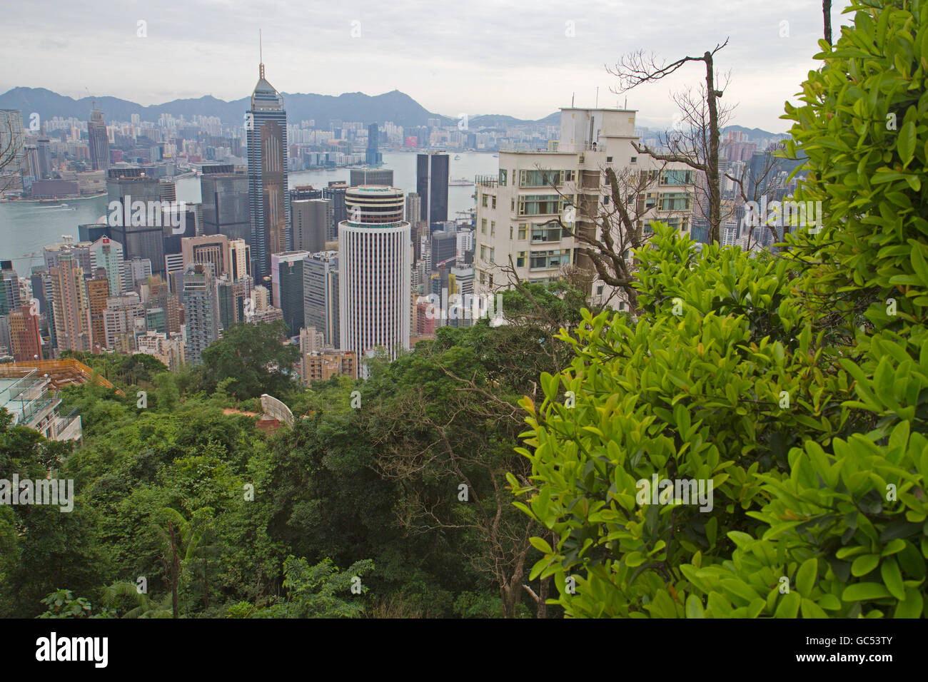 View over Hong Kong from the slopes of Victoria Peak Stock Photo - Alamy