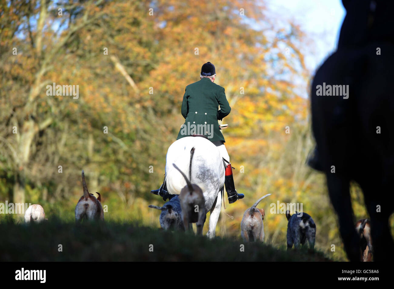 The Duke Of Beauforts Hunt High Resolution Stock Photography and Images ...