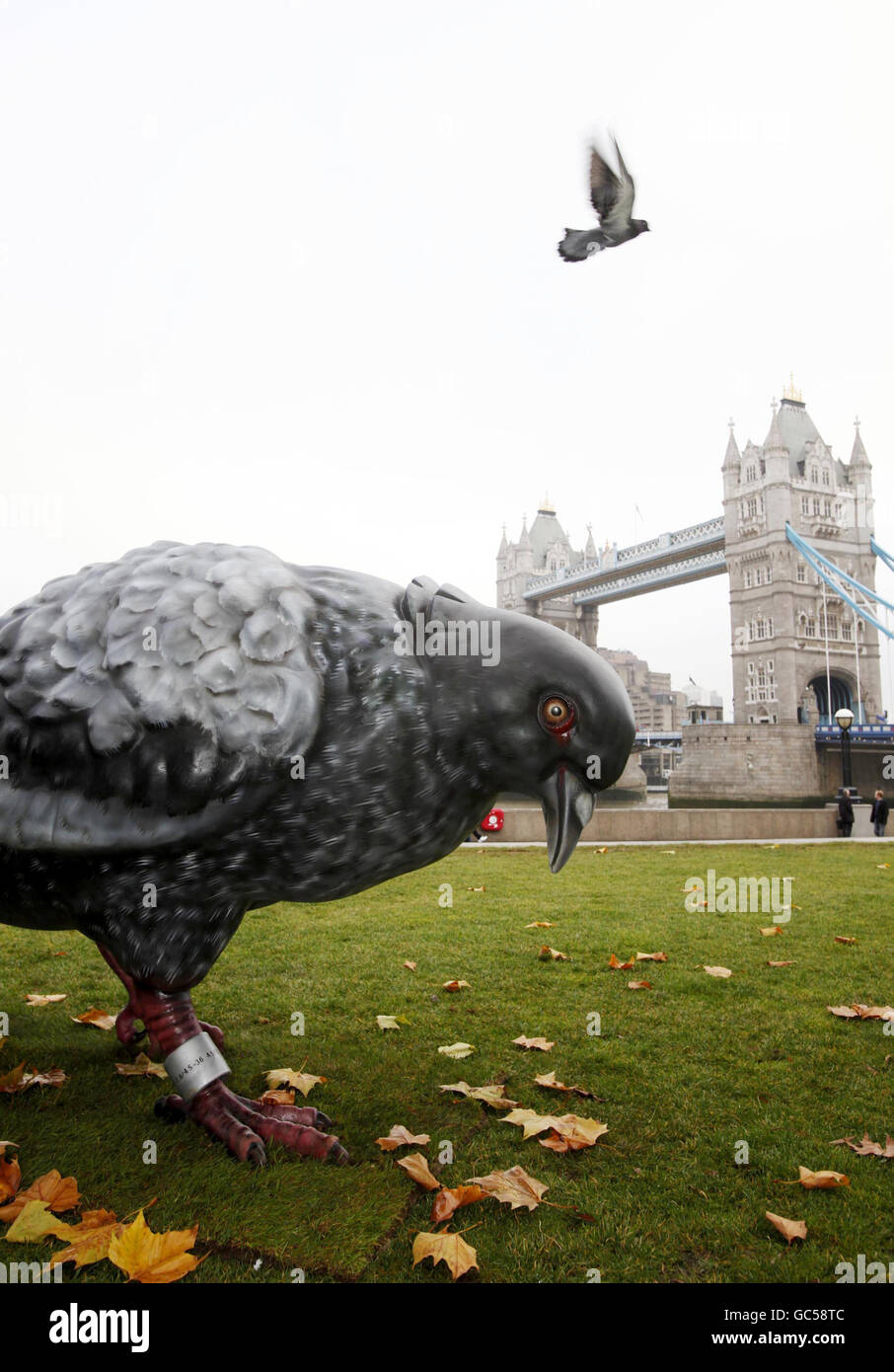 A model of a giant pigeon hi-res stock photography and images - Alamy