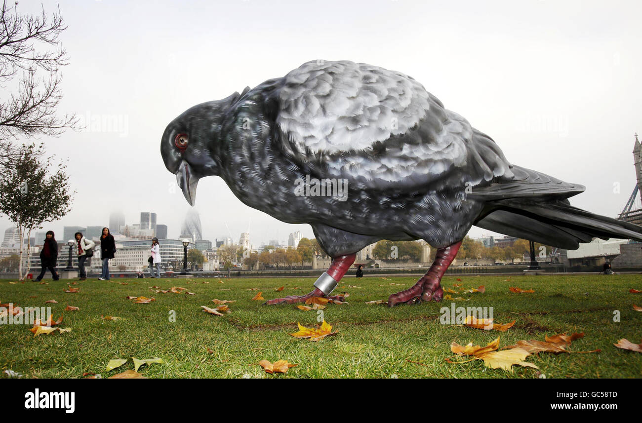 A model of a giant pigeon hi-res stock photography and images - Alamy