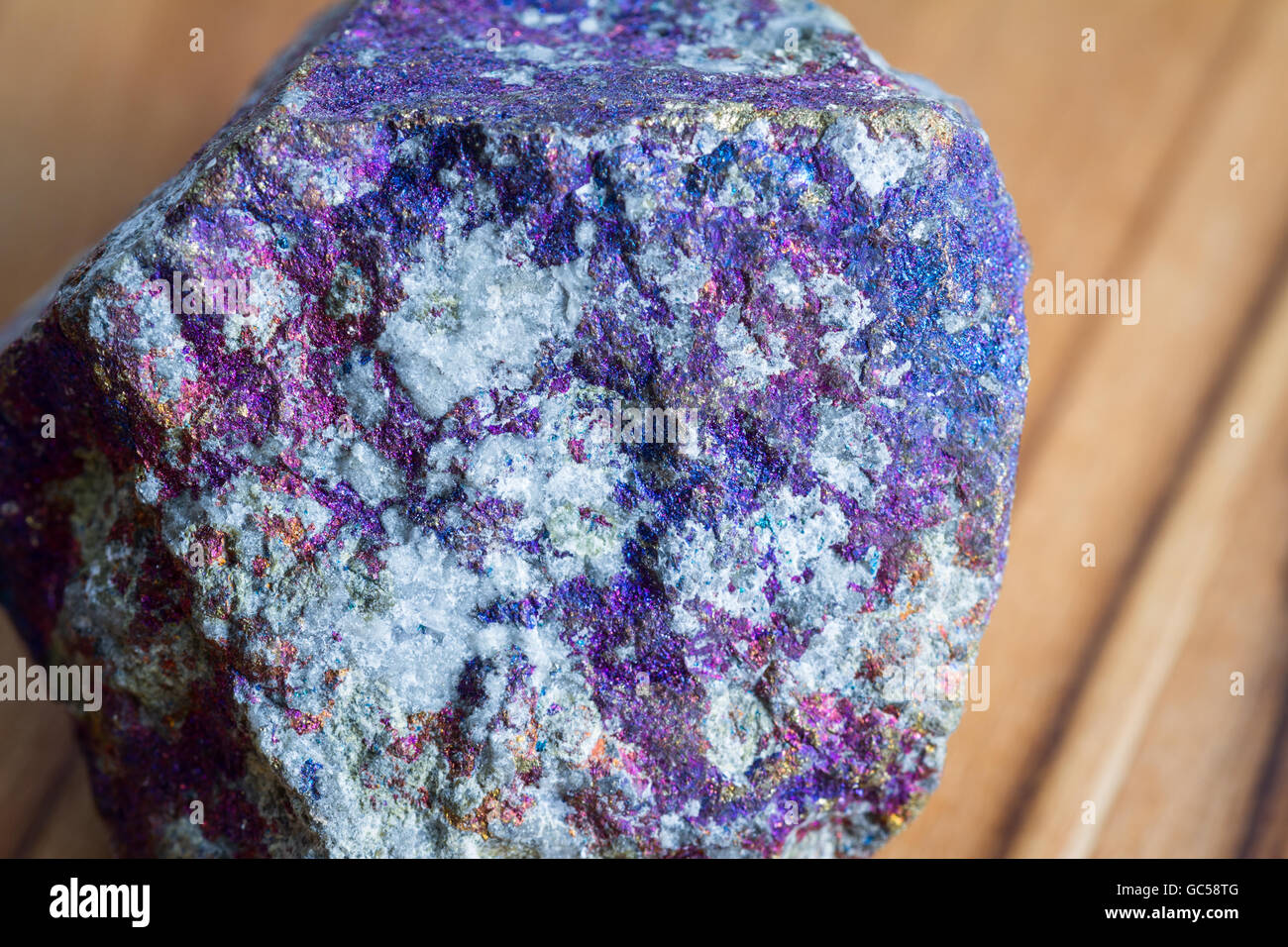 close up of a beautiful rock with vivid specs and variety of color ...