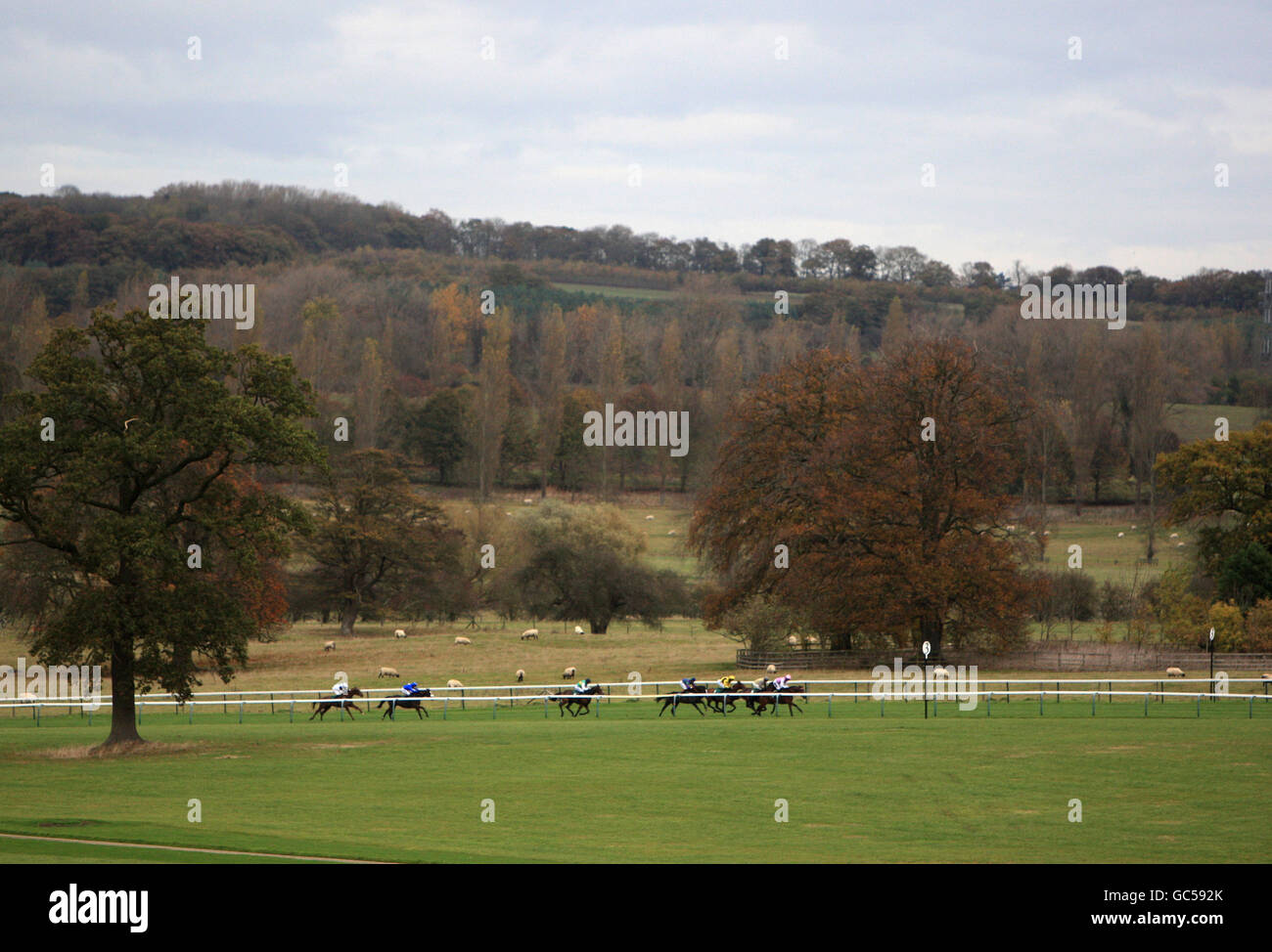 General view of towcester racecourse hi-res stock photography and ...