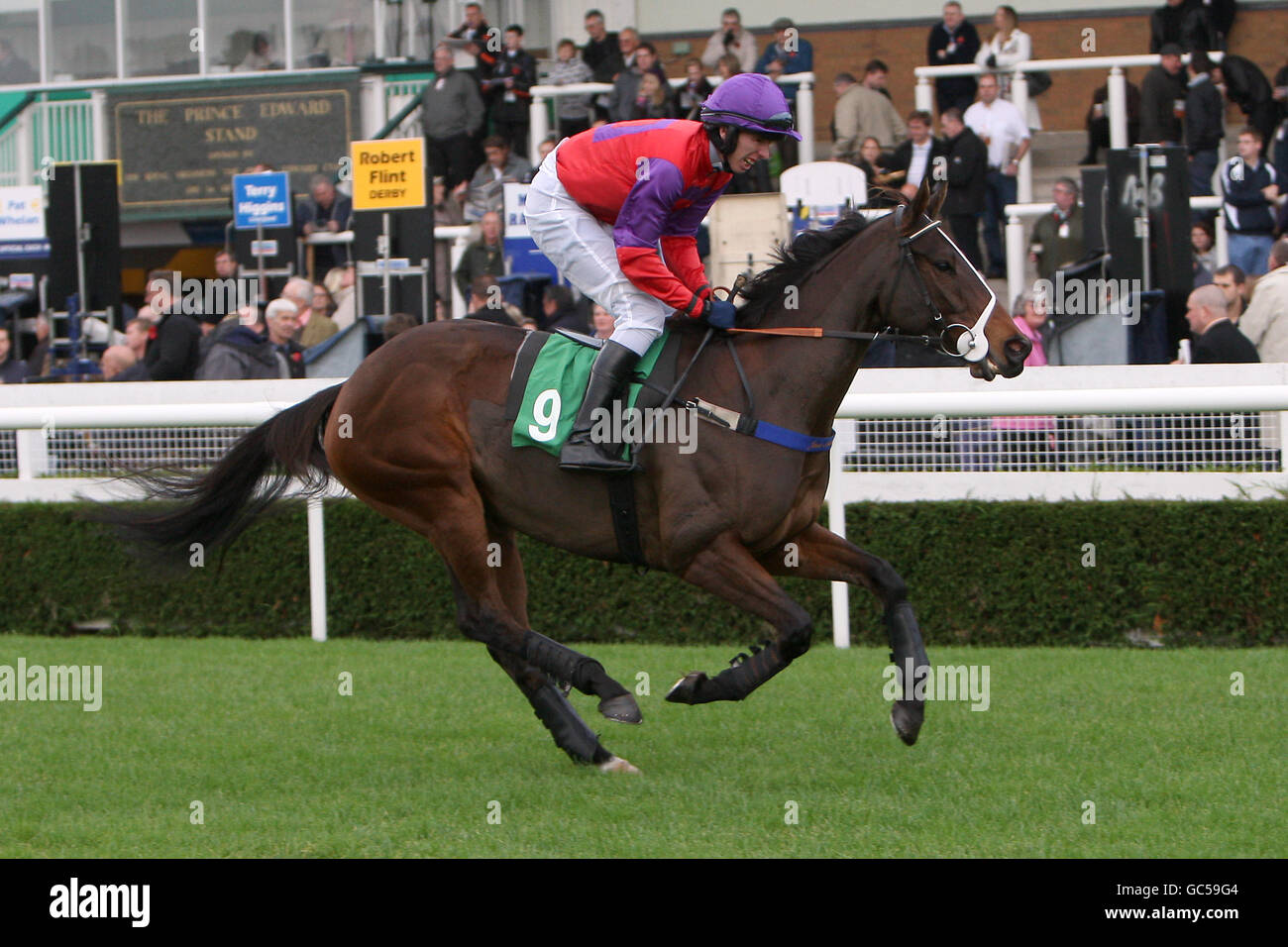Richard mcgrath jockey hi-res stock photography and images - Alamy
