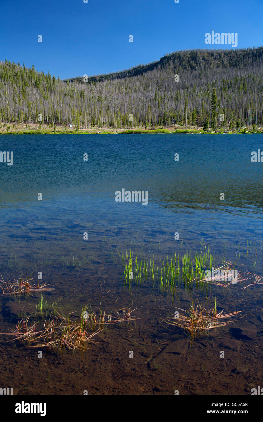 Campbell Lake, Fremont National Forest, Oregon Stock Photo - Alamy
