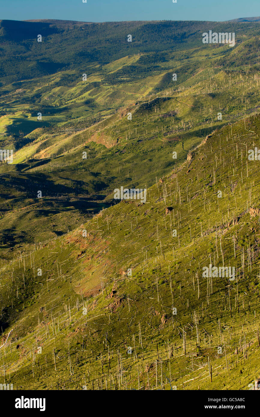 Fremont peak hi-res stock photography and images - Alamy