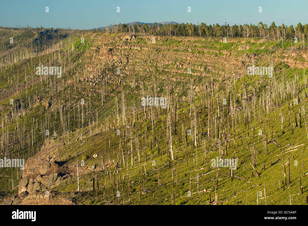 Fremont lookout trail hi-res stock photography and images - Alamy