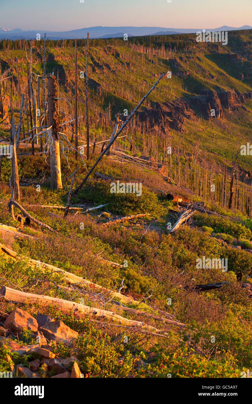 From fremont hi-res stock photography and images - Alamy