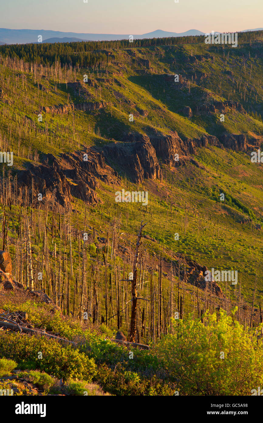 Fremont lookout trail hi-res stock photography and images - Alamy