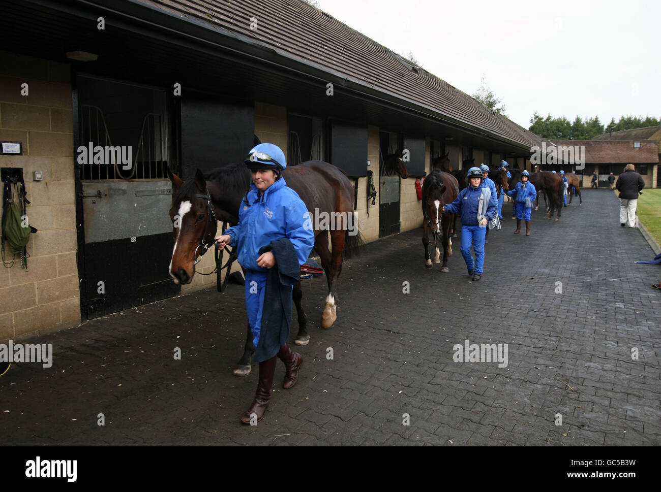 Visit jonjo oneills stables hi-res stock photography and images - Alamy