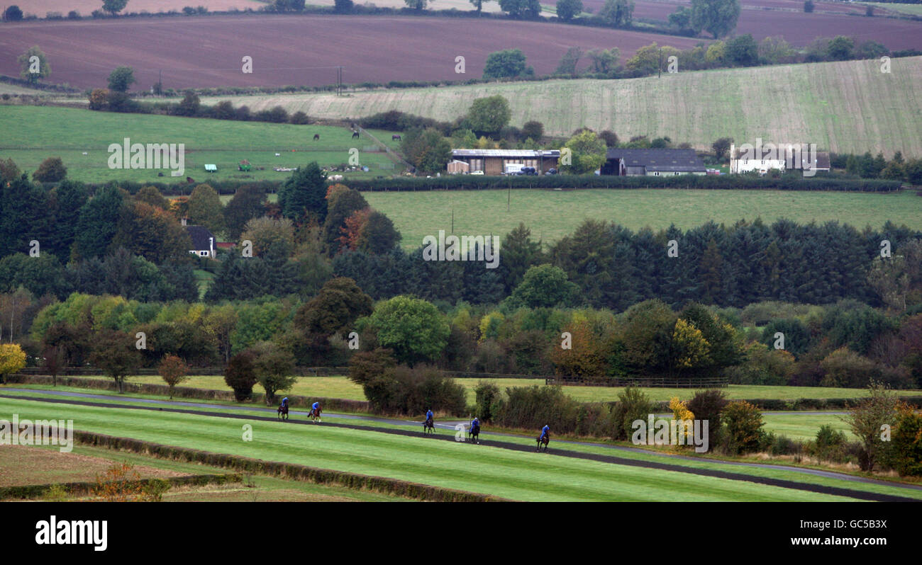 Racing - Visit to Jonjo O'Neill's Stables - Jackdaws Castle Stock Photo ...