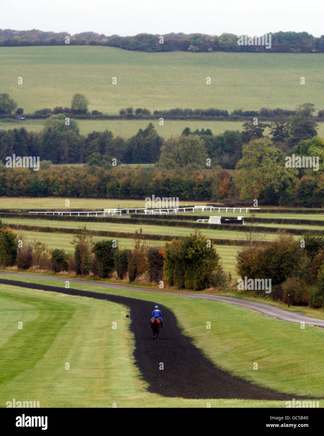 Jonjo O'Neill's Horses train on the Cotswold gallops during a photocall ...