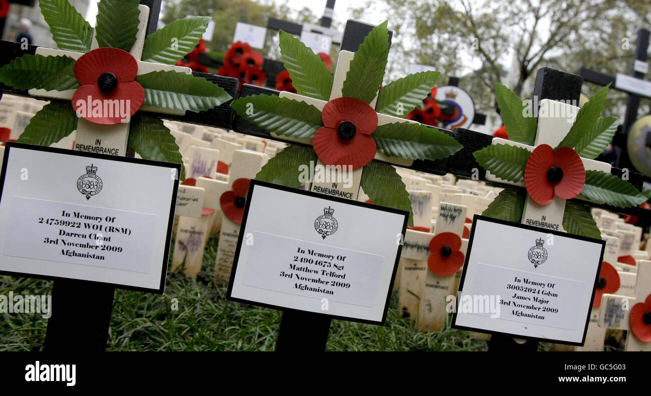 Three new crosses in the the garden of Remembrance for British service ...