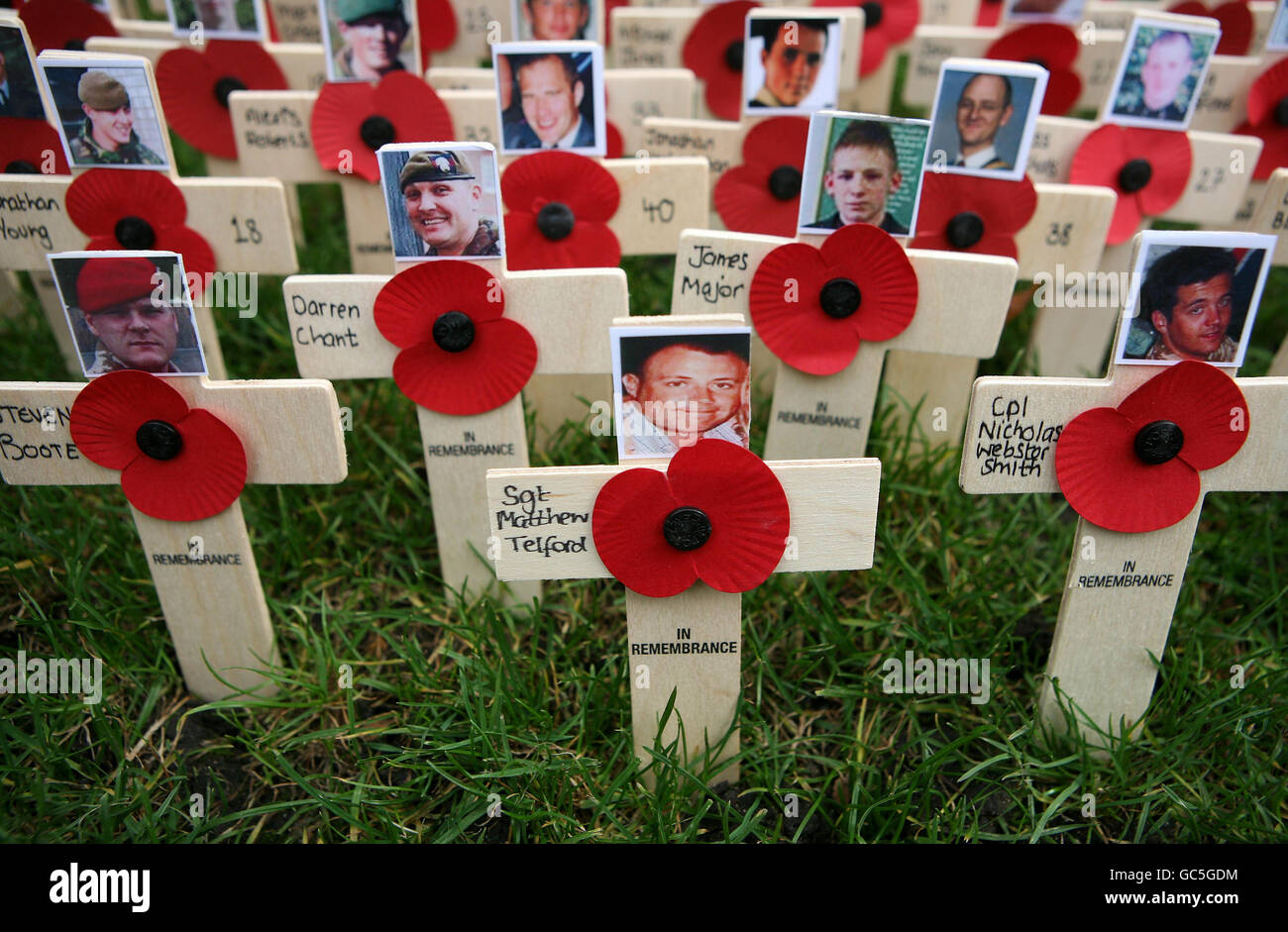 Field of Remembrance Stock Photo - Alamy