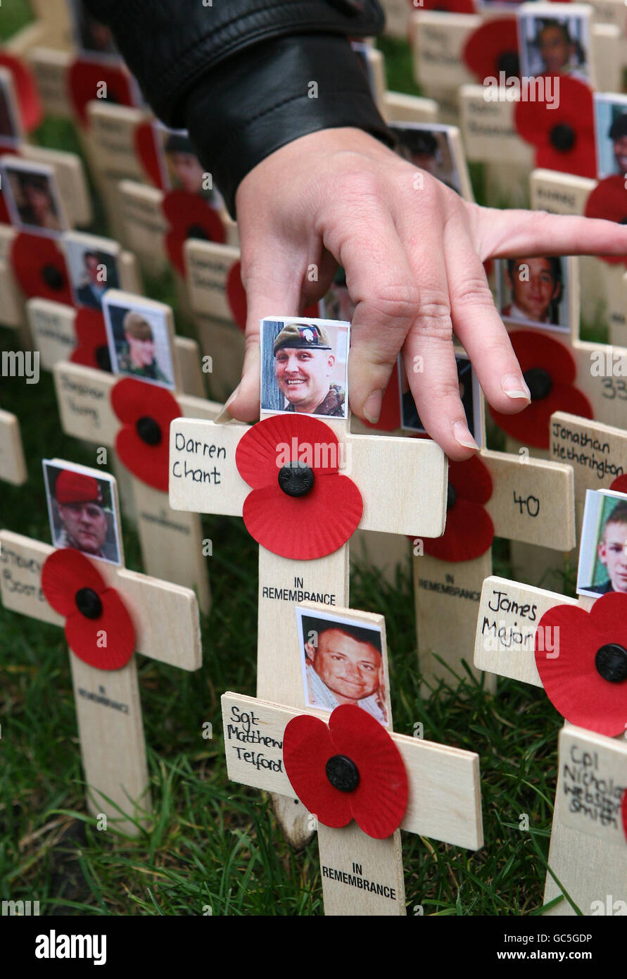 Field of Remembrance Stock Photo - Alamy