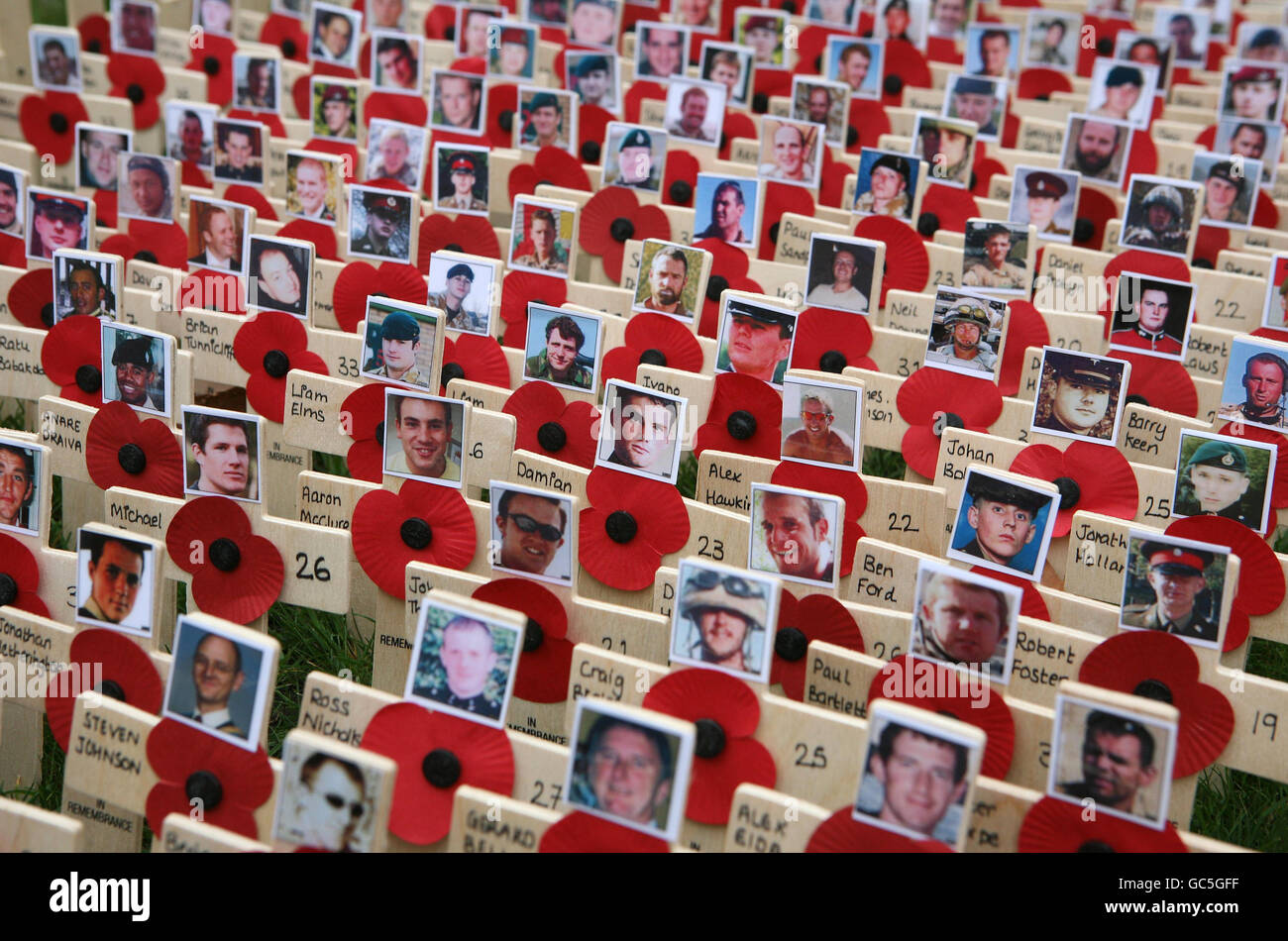 Field of Remembrance Stock Photo - Alamy