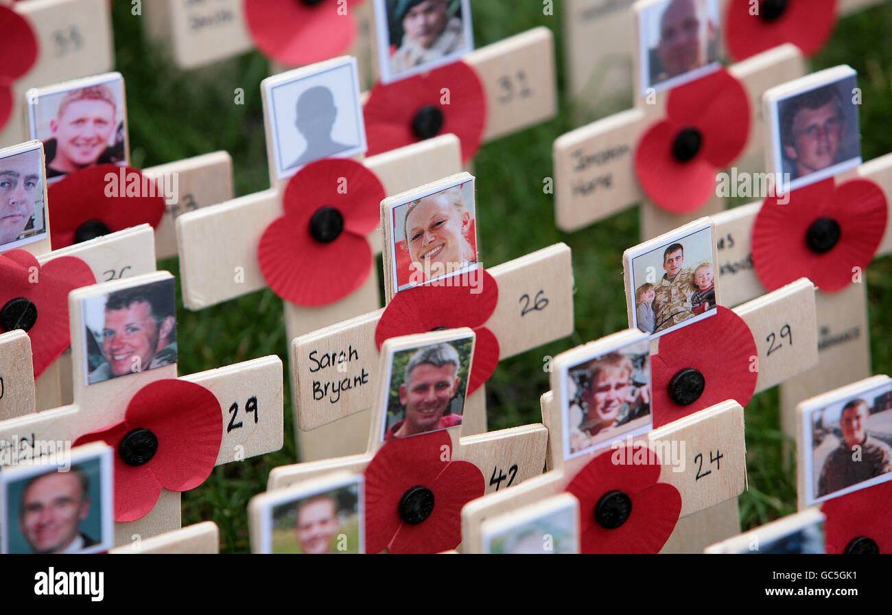 Field of Remembrance Stock Photo - Alamy