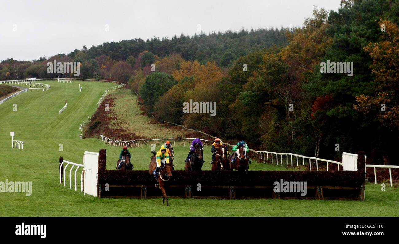 Sport competition riding action fence horse race horse racecourse hi ...