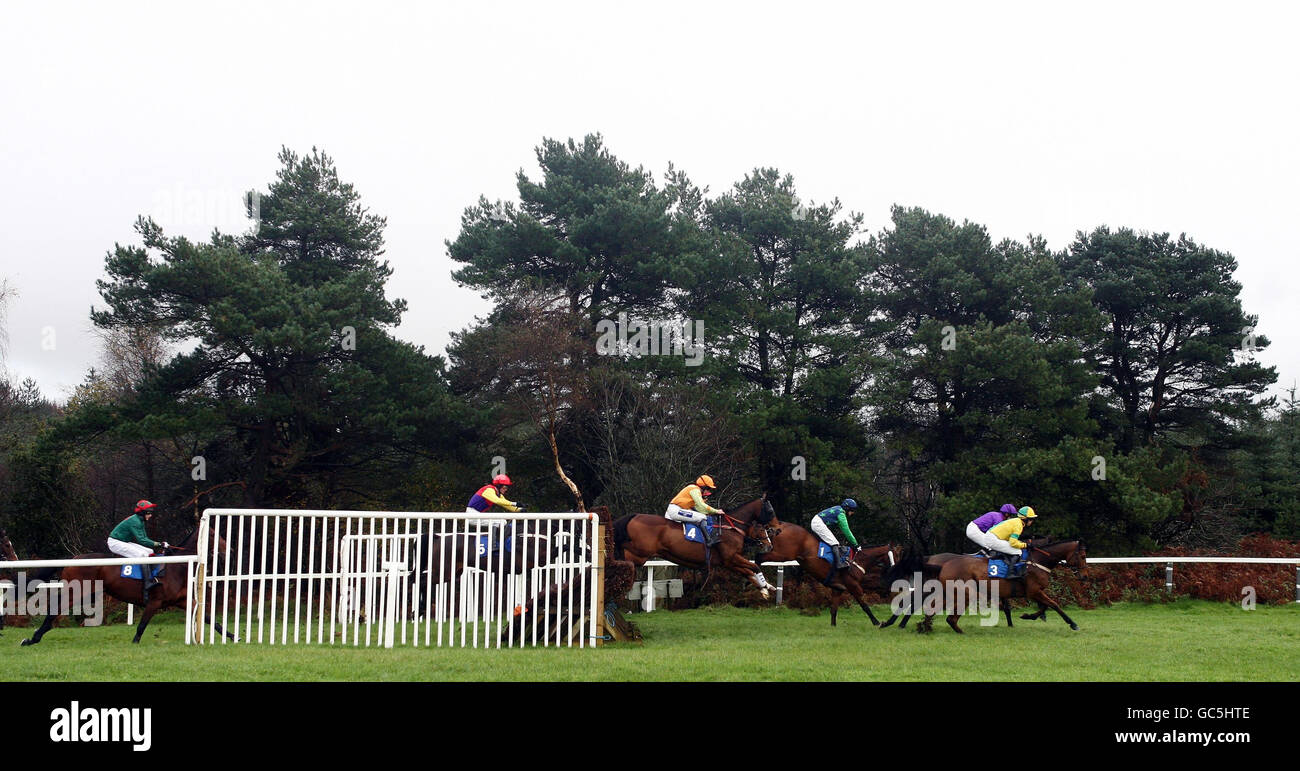 Sport competition riding action fence horse race horse racecourse hi ...