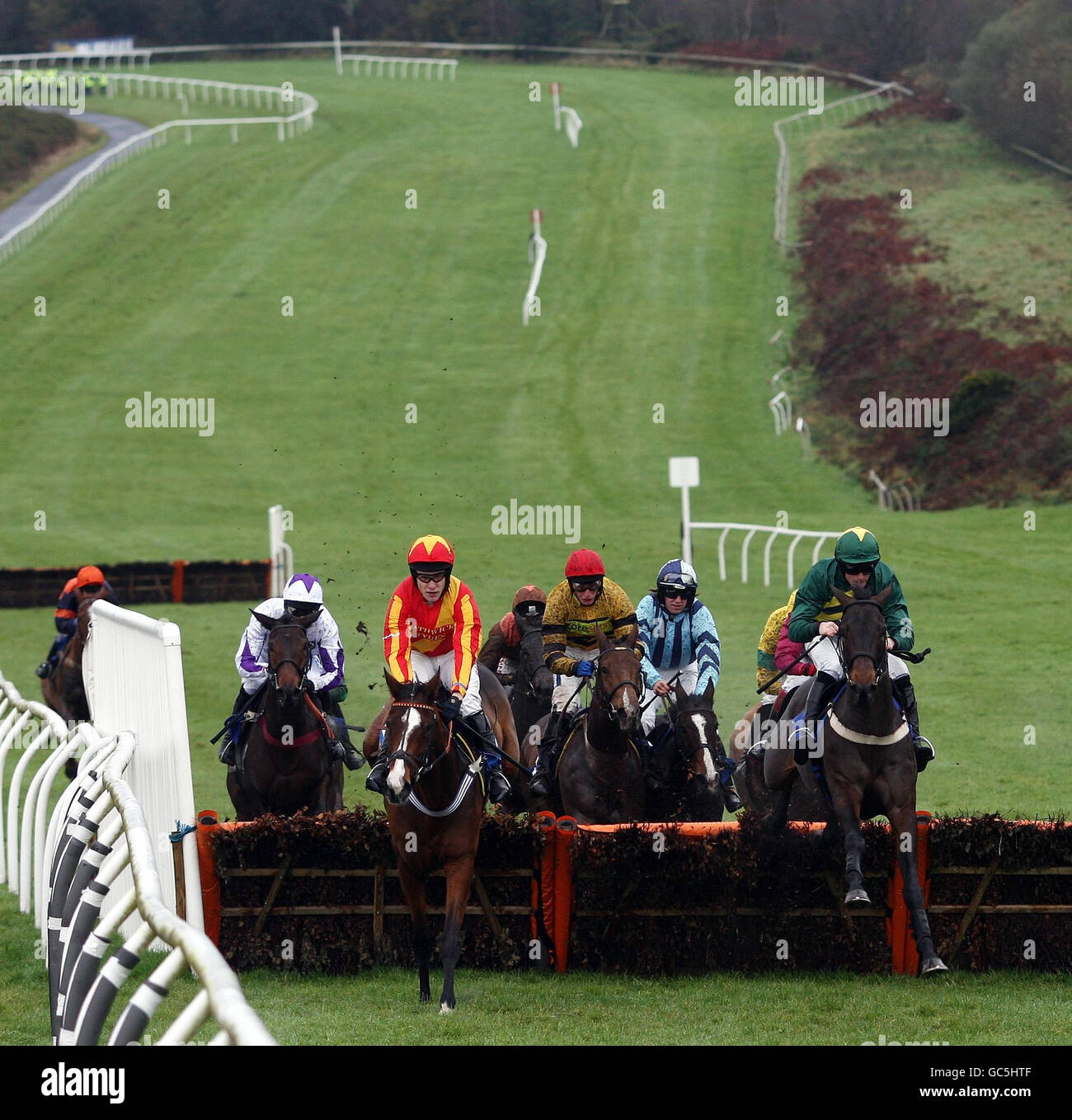 Sport competition riding action fence horse race horse racecourse hi ...