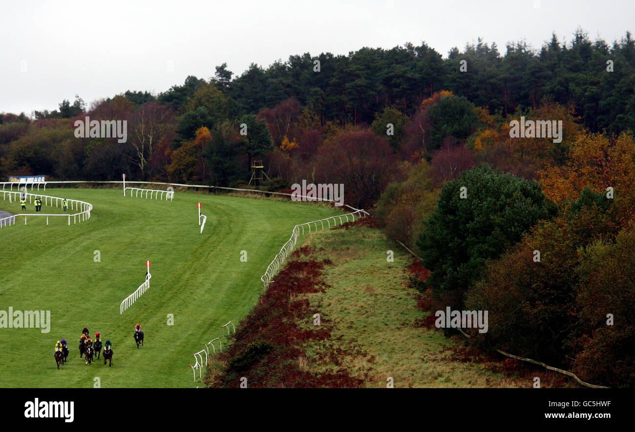 Aerial view of horses galloping hi-res stock photography and images - Alamy