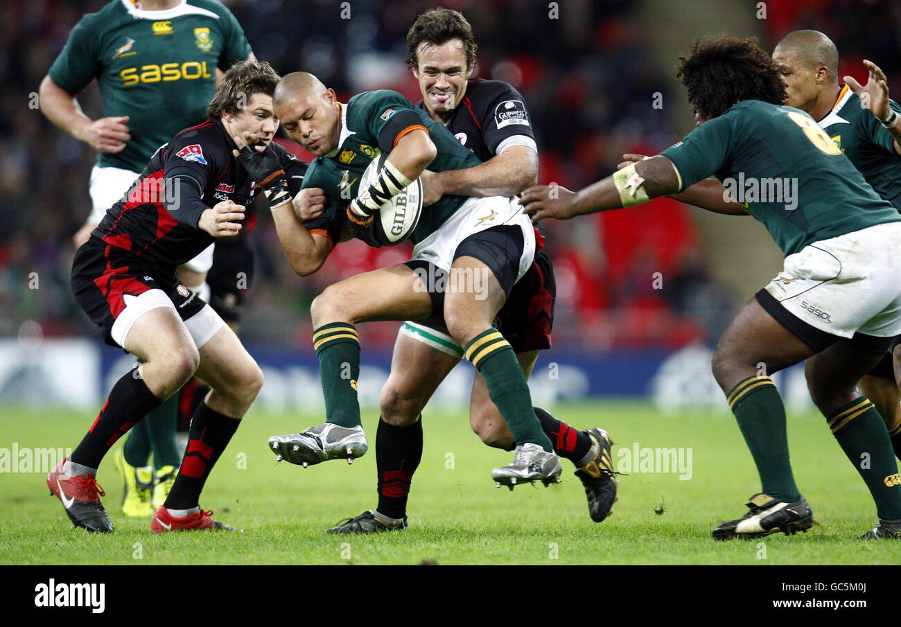 South africas earl rose hi-res stock photography and images - Alamy