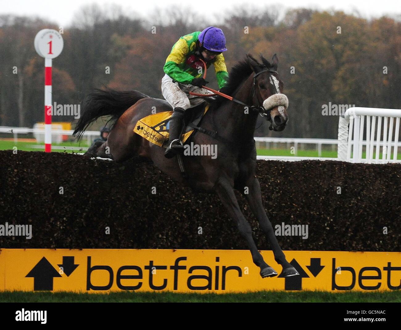 Jockey ruby walsh haydock racecourse hi-res stock photography and ...