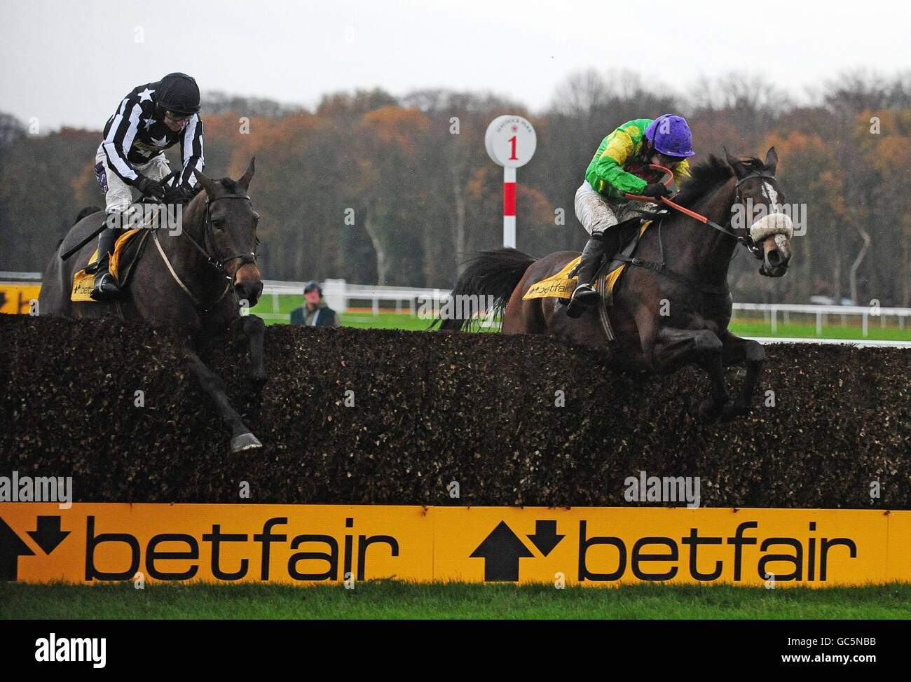 Horse Racing - The NorthWest Racing Masters Betfair Chase - Haydock ...