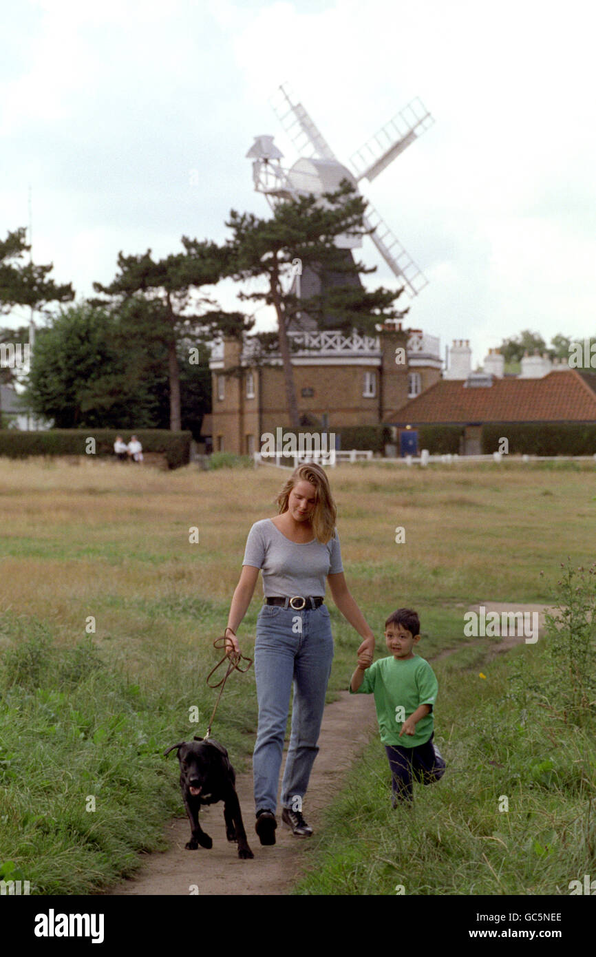 THE RECONSTRUCTION OF THE MURDER OF RACHEL NICKELL. A WOMAN WHO KNEW ...