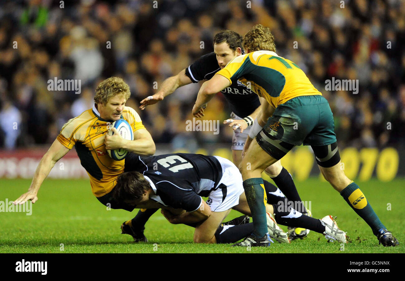 Rugby rugbyu scotland full length tackling mangrr hi-res stock ...