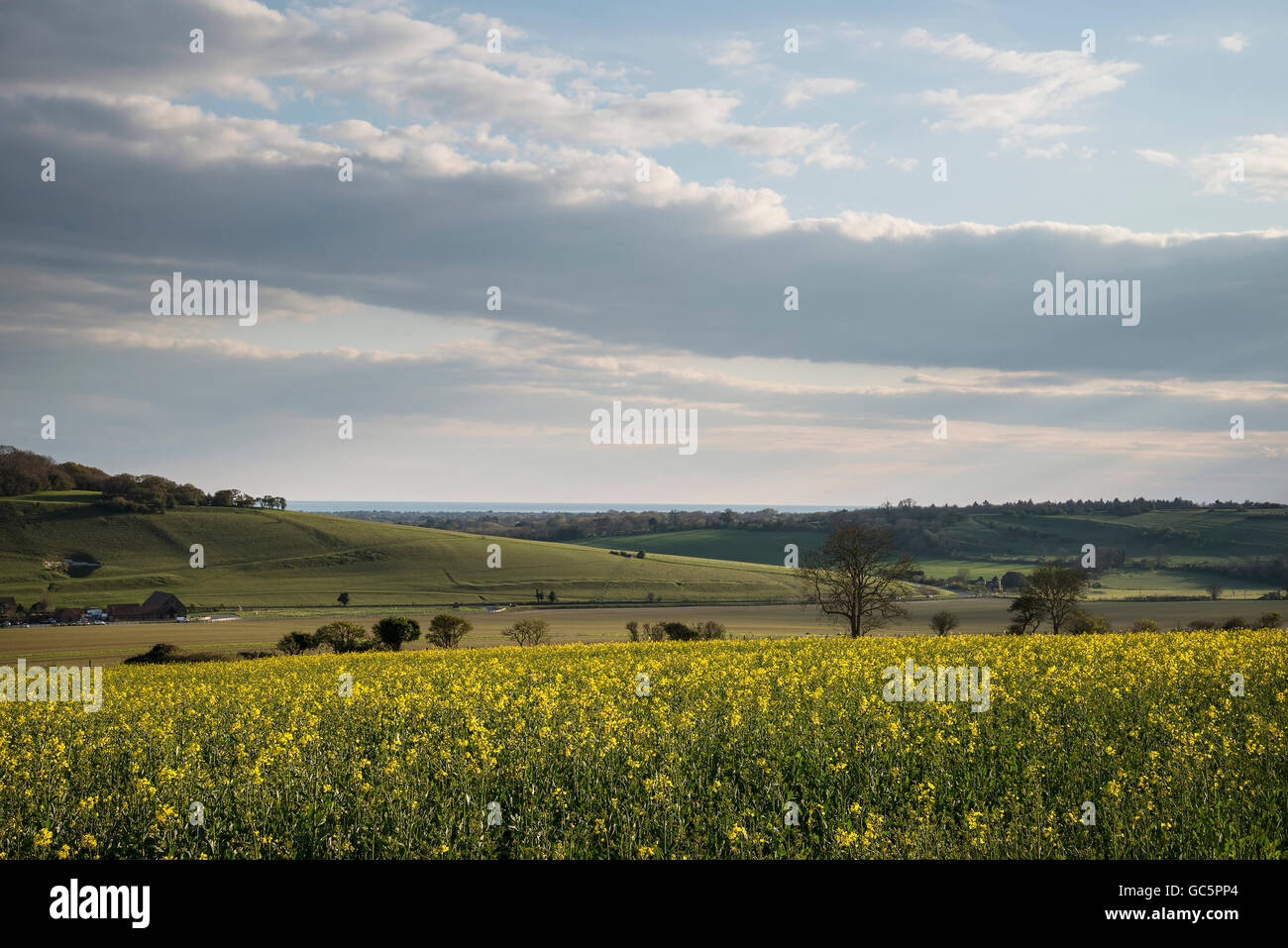 Stunning English countryside landscape over fields at sunset Stock ...