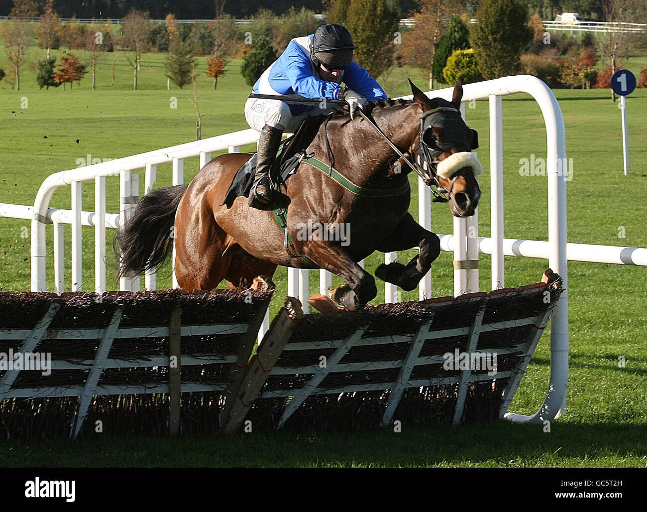 Horse racing races full length jumping jump jumps fence hi-res stock ...