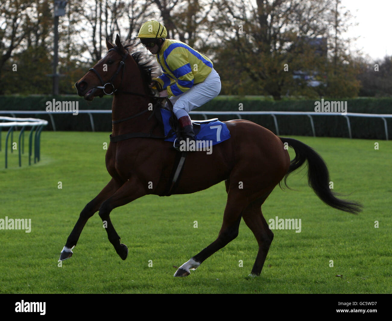 Horse washroom hi-res stock photography and images - Alamy