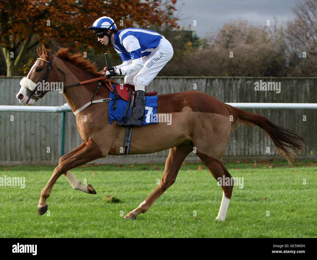 Horse Racing - Nottingham Racecourse Stock Photo - Alamy