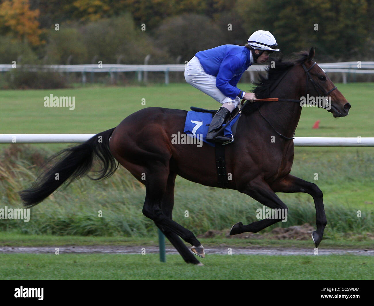 Daragh hand hi-res stock photography and images - Alamy