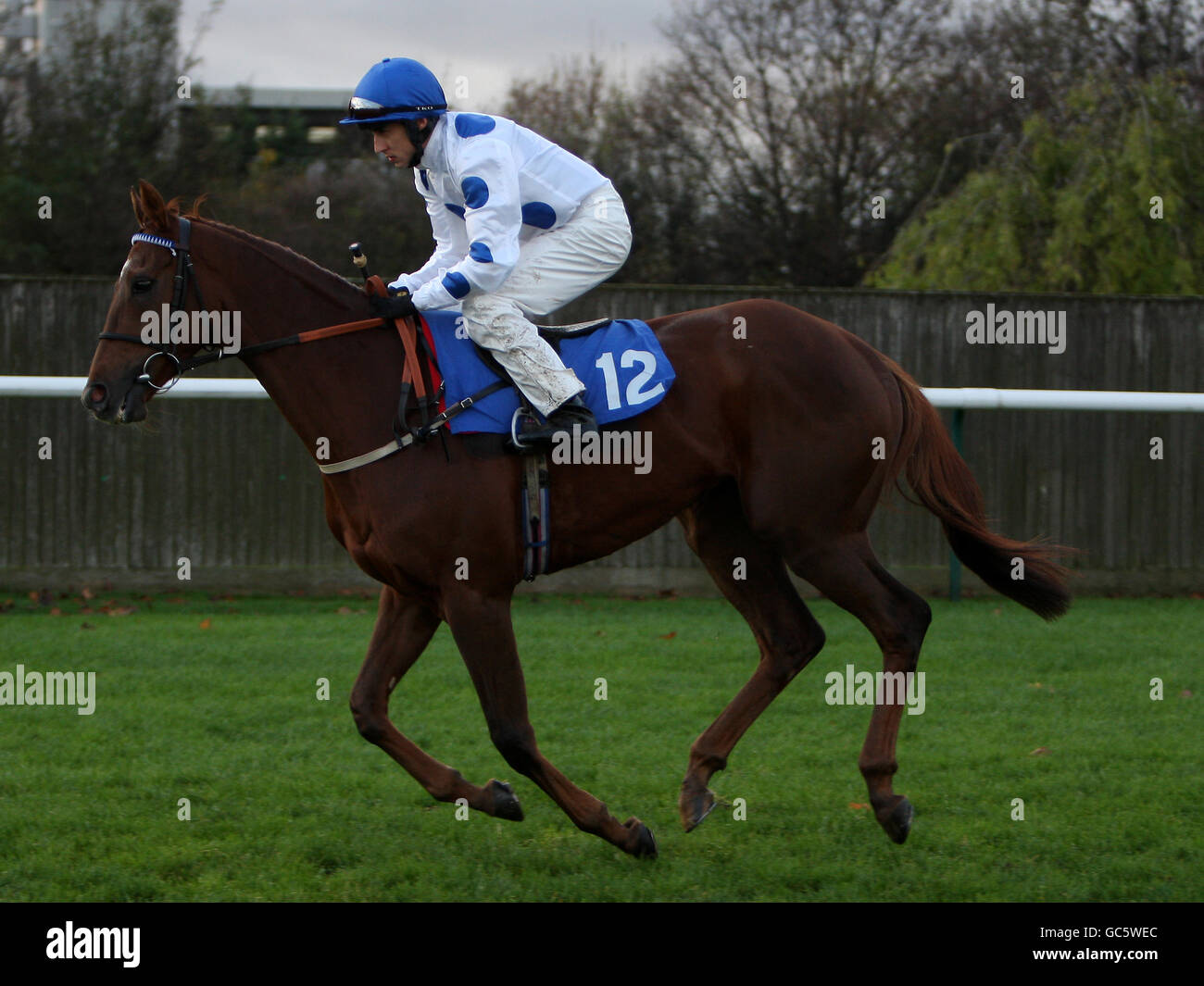 Sport horse racing chris catlin hi-res stock photography and images - Alamy