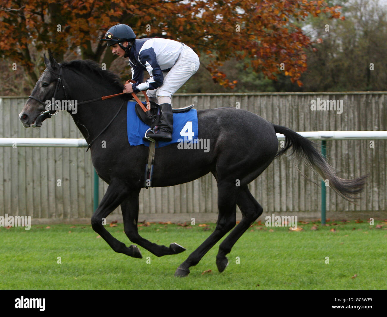Horse Racing - Nottingham Racecourse Stock Photo - Alamy