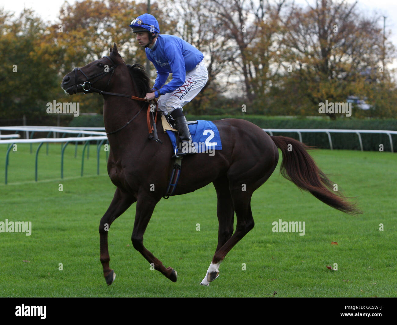 Ted duncan hi-res stock photography and images - Alamy