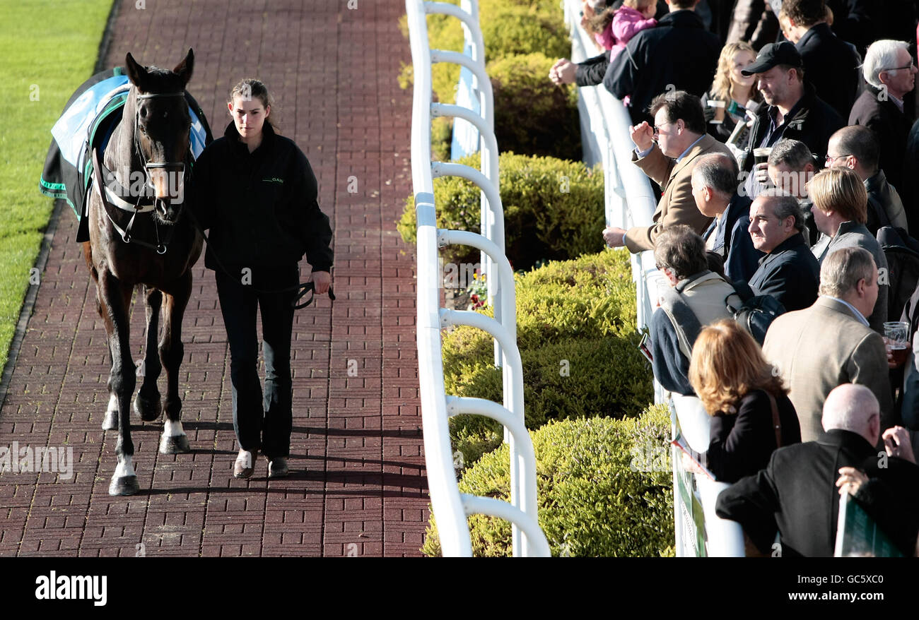 Full length paraded ring hi-res stock photography and images - Alamy