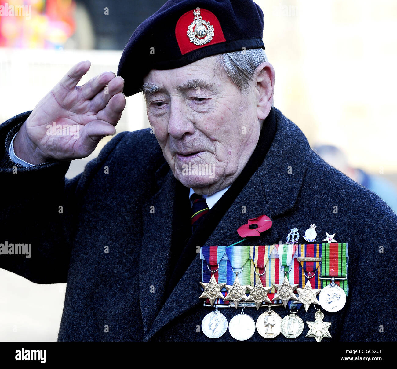 Armistice Day events Stock Photo - Alamy